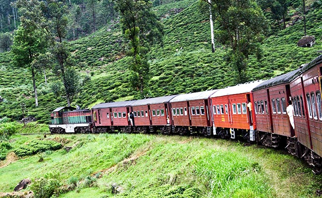 Holiday By Design | Tea Plantation and Train Journey